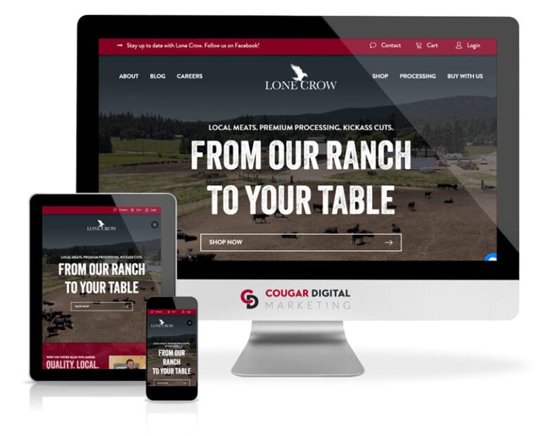 Website Design Services Portfolio | Cougar Digital